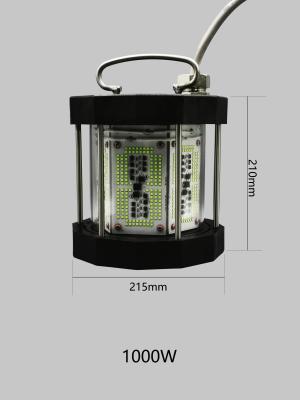 China Underwater LED Fishing Light with 120 Degrees Beam Angle 1000W for Deep Sea Fishing for sale