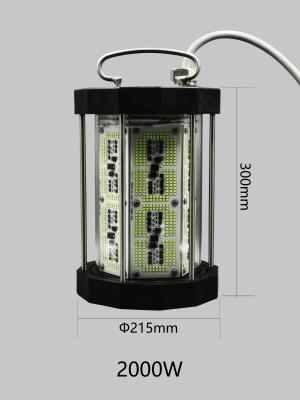 China Powerful 2000W Best LED Fishing Light For Deep Sea , Waterproof Fishing Light For Boats for sale