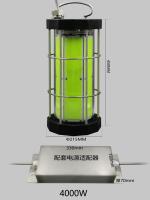 China AC200-265V Submersible Fishing Lights for Deep Sea Night Fishing and Crab/Lobster Traps Durable for sale