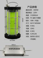 China 3000W Power Source LED Fishing Light Marine Underwater Submersible LED Fishing Lights for sale