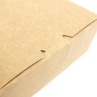 China Foldable Fast Food Packing Box Lightweight Eco Friendly Kraft Container for sale