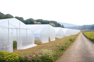 China Gothic Single‑Span Poly Tunnel Greenhouse for sale