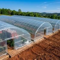 China Single‑Span Round‑Arch Polyethylene Agricultural Tunnel Greenhouse, Specially Designed for Solar Light Utilization & Heat Preservation, Suitable for Protected Cultivation. for sale