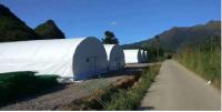 China Single‑Span Round‑Arch Polyethylene Agricultural Tunnel Greenhouse, Specially Designed for Solar Light Utilization & Heat Preservation, Suitable for Protected Cultivation. for sale
