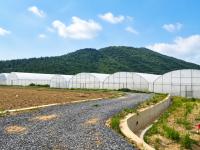 China Single‑Span Round‑Arch Polyethylene Agricultural Tunnel Greenhouse, Specially Designed for Solar Light Utilization & Heat Preservation, Suitable for Protected Cultivation. for sale