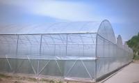 China Multi‑Span Plastic‑Film Greenhouse for sale