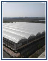 China Multi‑Span Plastic‑Film Greenhouse for sale