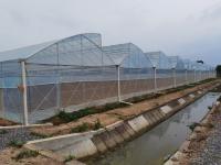 China Multi‑Span Saw‑tooth Film Greenhouse for sale