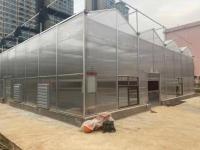 China PC Sheet Multi‑Span Greenhouse for sale