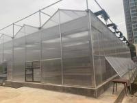 China PC Sheet Multi‑Span Greenhouse for sale