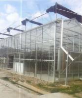 China Multi‑Span Polycarbonate & Glass Composite Greenhouse for sale