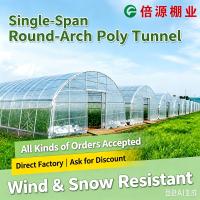 China Single‑Span Round‑Arch Polyethylene Agricultural Tunnel Greenhouse, Specially Designed for Solar Light Utilization & Heat Preservation, Suitable for Protected Cultivation. for sale