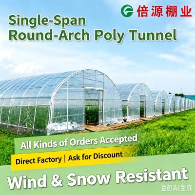 China Single‑Span Round‑Arch Polyethylene Agricultural Tunnel Greenhouse, Specially Designed for Solar Light Utilization & Heat Preservation, Suitable for Protected Cultivation. for sale