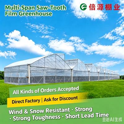 China Multi‑Span Saw‑tooth Film Greenhouse for sale