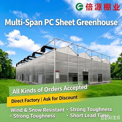 China PC Sheet Multi‑Span Greenhouse for sale