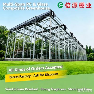 China Multi‑Span Polycarbonate & Glass Composite Greenhouse for sale