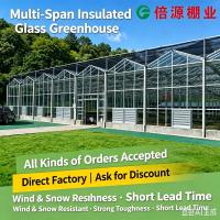 China Multi‑Span Insulated Glass Greenhouse for sale