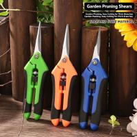 China Pruning Shears garden pruning tool with precision straight blades available in bright green orange and blue colors for professional for sale