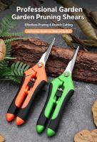 China Pruning Shears garden pruning tool with precision straight blades available in bright green orange and blue colors for professional for sale