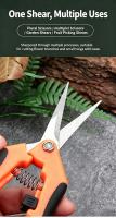 China Pruning Shears garden pruning tool with precision straight blades available in bright green orange and blue colors for professional for sale