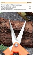 China Pruning Shears garden pruning tool with precision straight blades available in bright green orange and blue colors for professional for sale