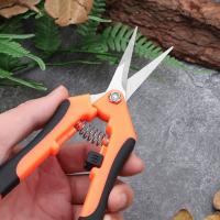 China Pruning Shears garden pruning tool with precision straight blades available in bright green orange and blue colors for professional for sale
