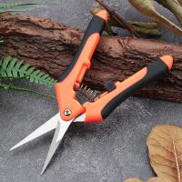 China Pruning Shears garden pruning tool with precision straight blades available in bright green orange and blue colors for professional for sale
