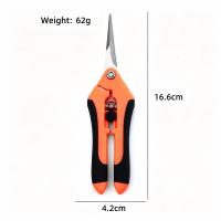 China Pruning Shears garden pruning tool with precision straight blades available in bright green orange and blue colors for professional for sale