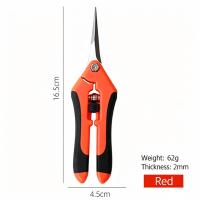 China Pruning Shears garden pruning tool with precision straight blades available in bright green orange and blue colors for professional for sale