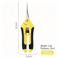 China Pruning Shears garden pruning tool with precision straight blades available in bright green orange and blue colors for professional for sale