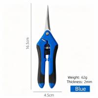 China Pruning Shears garden pruning tool with precision straight blades available in bright green orange and blue colors for professional for sale