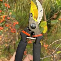 China Sharp Golden Blade Pruning Shears with Labor Saving Transmission Ergonomic Non Slip Handle and Safety Lock for Garden for sale