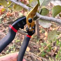 China Sharp Golden Blade Pruning Shears with Labor Saving Transmission Ergonomic Non Slip Handle and Safety Lock for Garden for sale