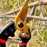 China Sharp Golden Blade Pruning Shears with Labor Saving Transmission Ergonomic Non Slip Handle and Safety Lock for Garden for sale