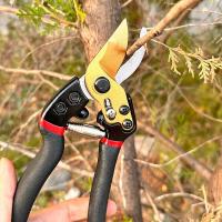China Sharp Golden Blade Pruning Shears with Labor Saving Transmission Ergonomic Non Slip Handle and Safety Lock for Garden for sale