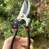 China Sharp Golden Blade Pruning Shears with Labor Saving Transmission Ergonomic Non Slip Handle and Safety Lock for Garden for sale