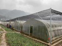 China SingleTunnel Greenhouse single-span greenhouse ideal for seedling breeding flower cultivation herbal planting and sapling growth for sale