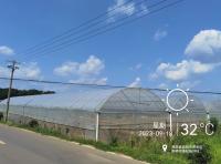 China Multitunnel greenhouse designed for seedling breeding flower cultivation and herbal planting with strong arch frame construction for sale