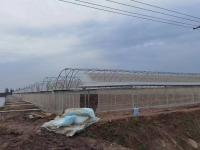 China Multitunnel greenhouse designed for seedling breeding flower cultivation and herbal planting with strong arch frame construction for sale