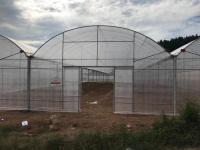 China Multitunnel greenhouse designed for seedling breeding flower cultivation and herbal planting with strong arch frame construction for sale