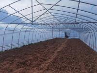 China SingleTunnel Greenhouse Offering Hydroponic Strawberry Cultivation Solution with Prefabricated Parts and Quick Assembly for sale