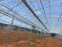 China Durable Multitunnel greenhouse with galvanized steel frame and PE film covering ideal for agricultural planting solutions for sale