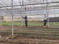 China Durable Multitunnel greenhouse with galvanized steel frame and PE film covering ideal for agricultural planting solutions for sale