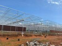 China Durable Multitunnel greenhouse with galvanized steel frame and PE film covering ideal for agricultural planting solutions for sale