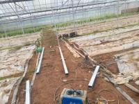 China Durable Multitunnel greenhouse with galvanized steel frame and PE film covering ideal for agricultural planting solutions for sale