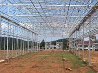 China Durable Multitunnel greenhouse with galvanized steel frame and PE film covering ideal for agricultural planting solutions for sale