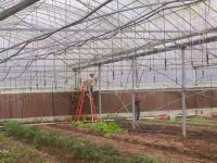 China Durable Multitunnel greenhouse with galvanized steel frame and PE film covering ideal for agricultural planting solutions for sale