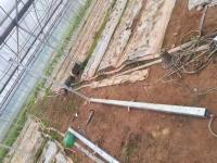 China Durable Multitunnel greenhouse with galvanized steel frame and PE film covering ideal for agricultural planting solutions for sale
