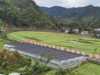 China Durable multitunnel greenhouse with double layer arch design ideal for commercial agricultural and multi span crop cultivation for sale