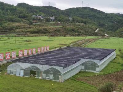China Durable multitunnel greenhouse with double layer arch design ideal for commercial agricultural and multi span crop cultivation for sale